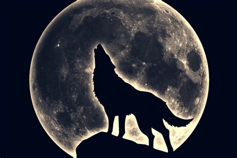 January Full Moon Spiritual Meaning And Rituals For The Wolf Moon