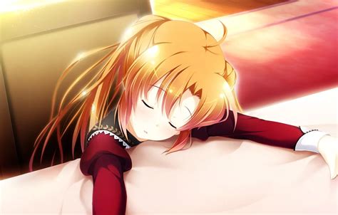 Wallpaper Girl Sleeping Sakura Mau Otome No Rondo Game CG Aragaki