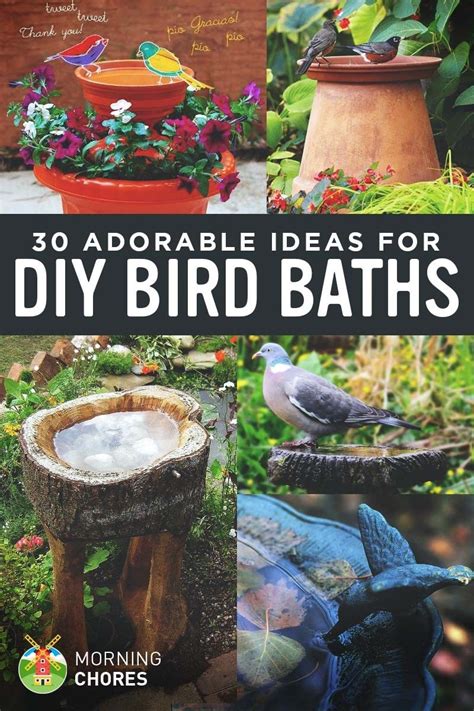 30 Adorable Diy Bird Bath Ideas That Are Easy And Fun To Build Bird
