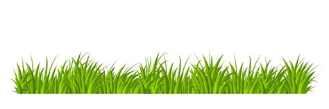 Premium Vector Green Grass Border Flat Style Design Cartoon Summer Green Grass Nature