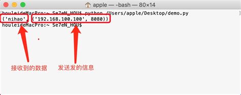 Python网络 Socket之udp编程24 Se7enhou 博客园