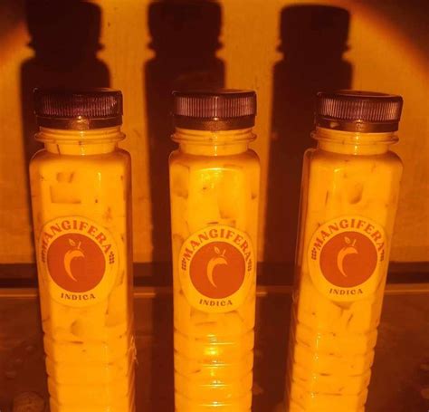 Manera Indicas Mango Tapioca