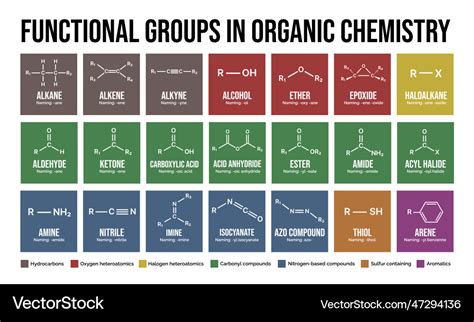 functional groups in organic chemistry royalty free vector