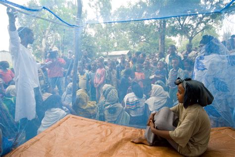 Dylan Matthews Profile And Activity Vox