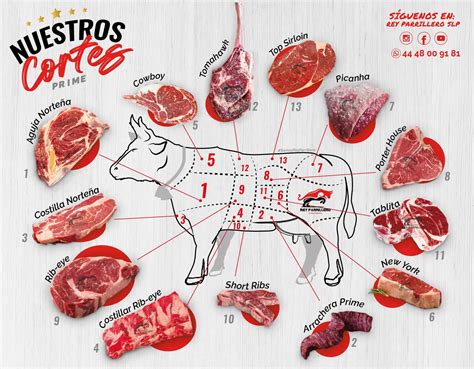 Origen Y Proceso De La Carne De Res Carnicería Moderna