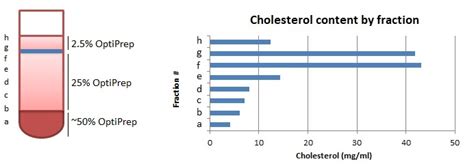 Plasma Membrane Isolation Kit Ab284937 Abcam