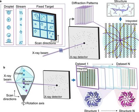 Examples Of Data Gathering By Serial X Ray Crystallography A Download Scientific Diagram