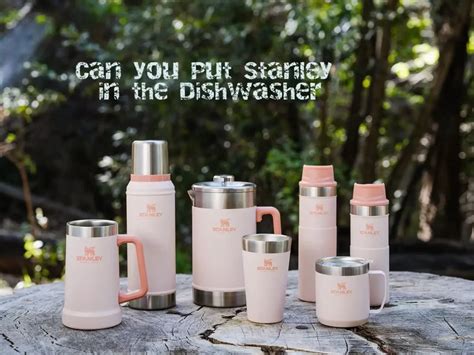 Is Stanley Water Bottle Dishwasher Safe 2023