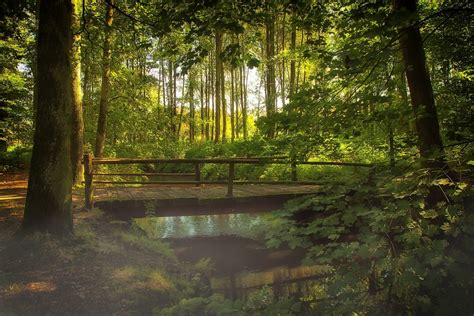 Transition Écologique Enjeux et Solutions pour un Avenir Durable