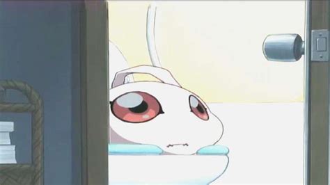 数码宝贝：滚球兽给小光道歉，自己拉大便在桌子上了！动漫日本动漫好看视频