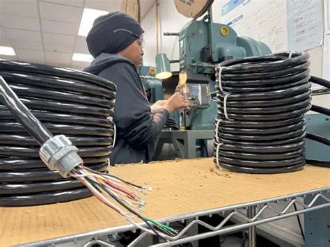 Electronic Assembly Swi Systems