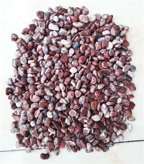 Pebble Stones For Garden And Landscaping