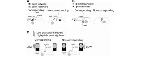Side View Of The Experimental Situations For Horizontal Panel A And Download Scientific