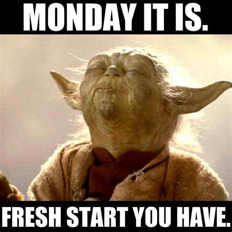 Funny Monday Meme