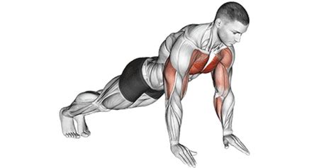 Plyometric Push Up To Build And Harden Your Chest A Lean Life