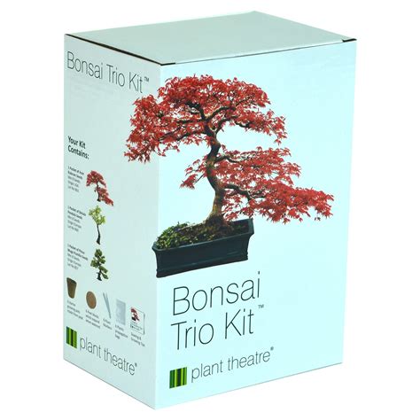 Bonsai Growing Kit Complete Gardening Set Colorful Bonzai Trees Trees