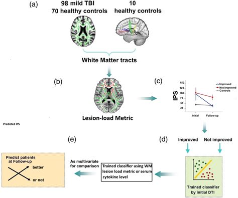 Of Methods A Skeletonized Diffusion Metric For White Matter Tracts Download Scientific