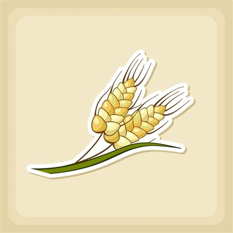 Колоски пшеницы векторна графіка зображення Колоски пшеницы малюнки Скачати з Depositphotos