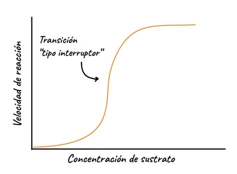 Ejemplo De Complejo Enzima Sustrato