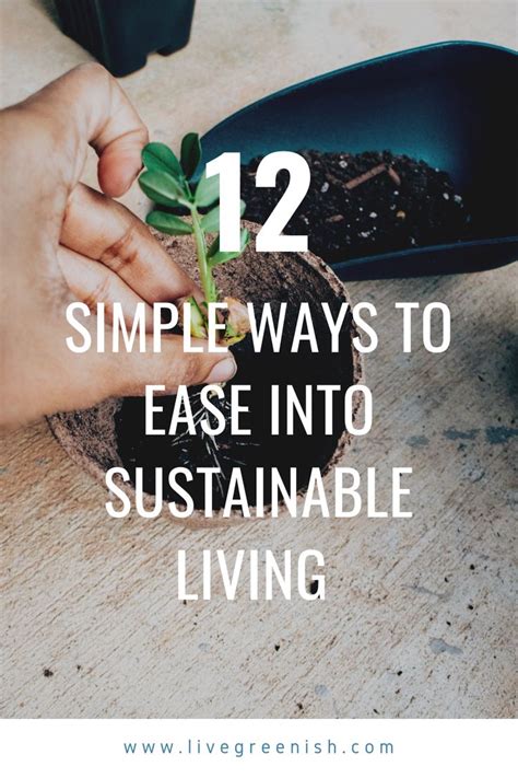Sustainable Living Tips For Beginners Sustainable Living