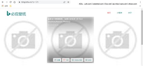 Bing K Php Python Exe