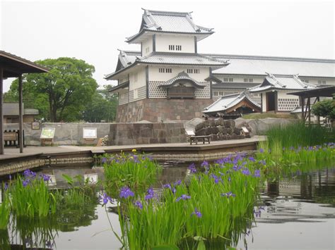 金沢城公園 カキツバタなど いしかわ緑の広場