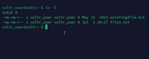 How To Create An Empty File In Linux Using The Touch Command Vultr Docs