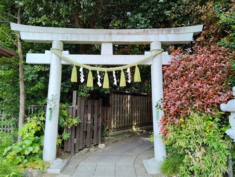 不登校 子どもに気を使ってしまう 不登校でも大丈夫〜。幸せは今ここにある
