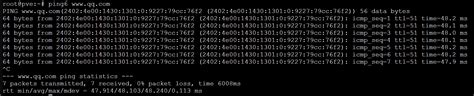 pve开启lxc容器ipv6并为docker qBittorrent容器配置ipv6 NikoIII 博客园