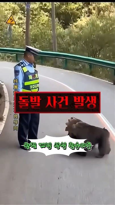 완전 개념 상실 중국 원숭이 중국 공안을 집단으로 다구리하는 중국 원숭이들 대단합니다 개념 상실 원숭이의 피니쉬는 바디췍