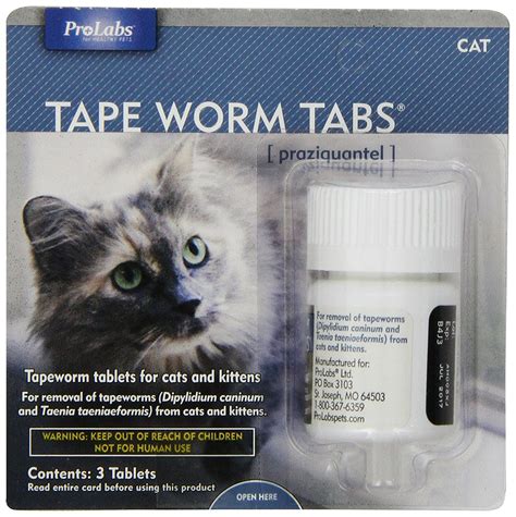 Natural Cure For Tapeworms In Cats