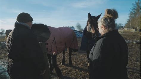 Mor Og Datter Troede Deres Hest Var Syg Men Dyrlægens Dom Blev