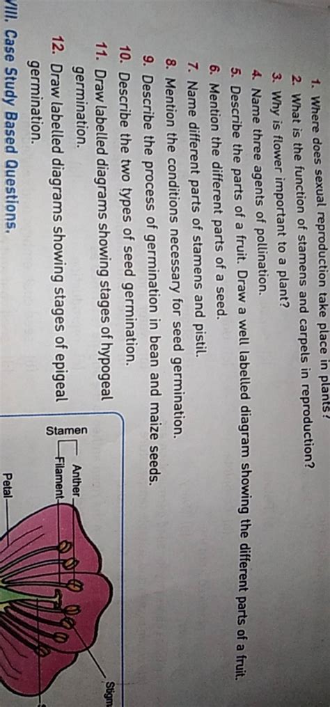 Draw And Label A Diagram Showing Diffe Parts Of A Plant