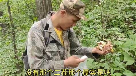 小陈在山里找人参，意外发现有榛蘑啦，小蘑菇芽子都可好了山货 榛蘑 捡菌子 山里生活 大自然的馈赠 大自然的搬运工 Youtube