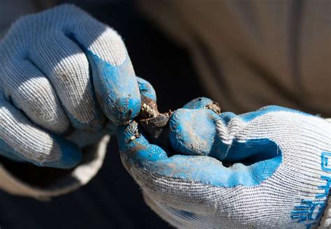 U S Marine Corps Gunnery Sgt Ethan Shrader Explosive Nara And Dvids Public Domain Archive