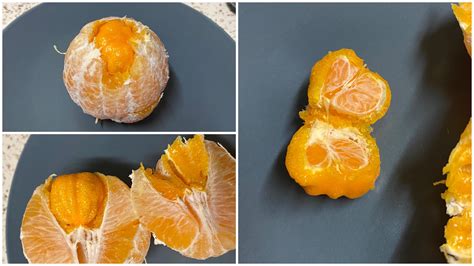 White Spots Inside Clementine At Patrick Ruppert Blog