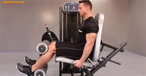leg curl là gì hướng dẫn 7 bài tập leg curl hiệu quả nhất