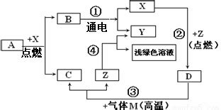 24根据四氧化三铁的化学式进行有关计算 ⑴四氧化三铁分子中铁 氧两种元素的原子个数比是 ⑵四氧化三铁中铁 氧两种元素的质量比 ⑶四氧化三