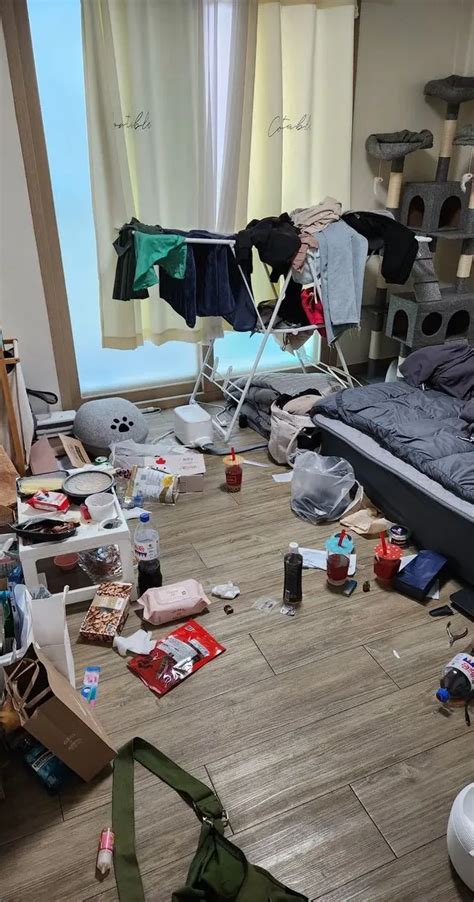 투룸청소 남양주청소이모 숨고 숨은고수