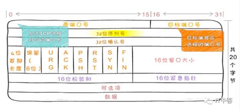 Tcp、udp是如何流量、拥塞控制的？今天一口气讲透！ 知乎