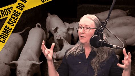 Can Pigs Really Make A Body Disappear Forensics Test Age Old Theory