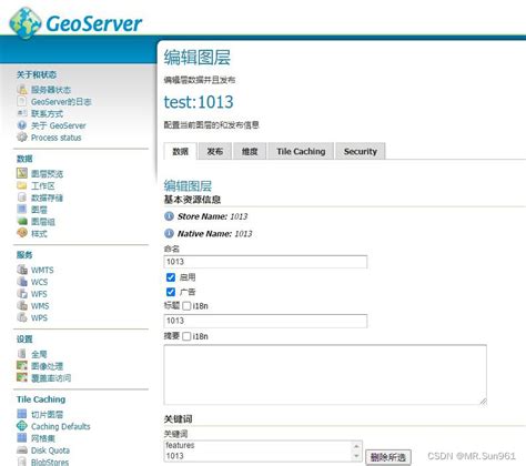 Geoserver发布shapefile矢量数据服务geoserver服务发布shapefile Csdn博客