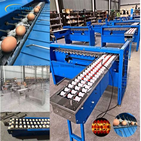 Automatic Table Egg Sorting Machine Egg Grader Sorter By Weight Wm