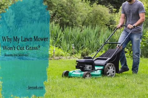 Lawn Mower Leaking Oil From Air Filter: Here’s How to Fix It! - LawnAsk