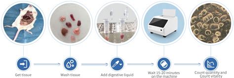 Single Cell Suspension Preparation Instrument