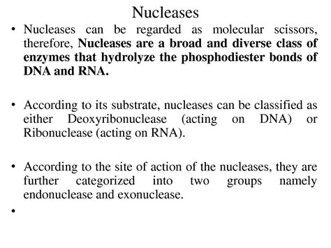 Solution Eukaryotic Dna Organization Studypool