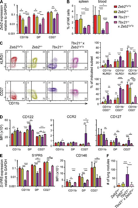 Figure 1 From Terminal Nk Cell Maturation Is Controlled By Concerted