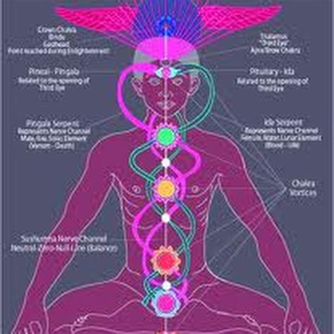 Civan Harappana Youtube