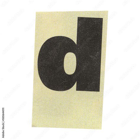 Letter D Fonts