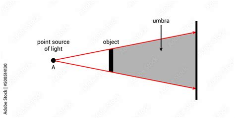 Schematic Diagram Of Shadow Of Object Principle Of Shadows Formation Vector Illustration On